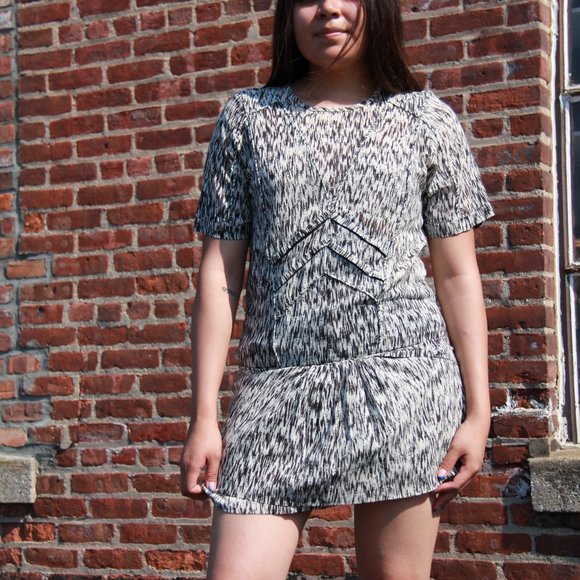 IRO | Dresses | Iro Carline Mini Dress Zebra Print | Poshmark